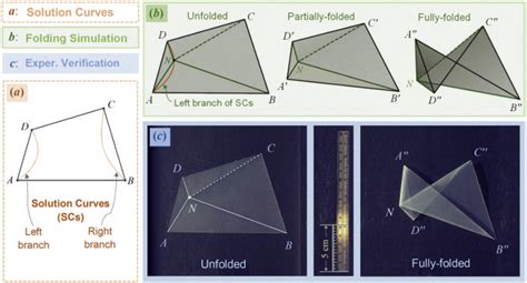 Parallelograms Propiedades Tipos Y Aplicaciones Esenciales