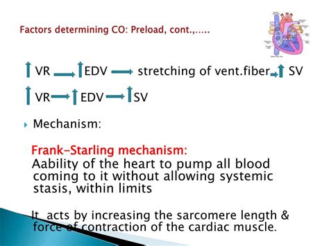 Ppt Cardiac Output And Venous Return Dr Eman El Eter Associate Prof Physiology Dep