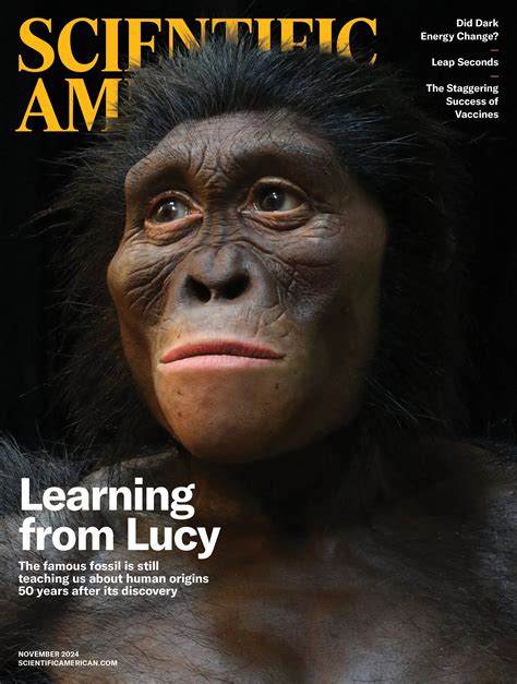 Birds Practice Singing In Their Sleep Scientific American