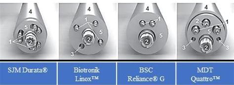 Schematic Illustration Of Lead Configurations From Different Download Scientific Diagram