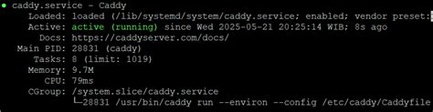 Cara Install Caddy Web Server Di Vps Ubuntu Knowledge Base Jagoan
