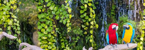 Singapore Travel Pass Best Card For Tourists Hl Assurance