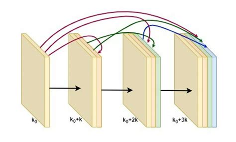 Structure Of Dense Block Download Scientific Diagram