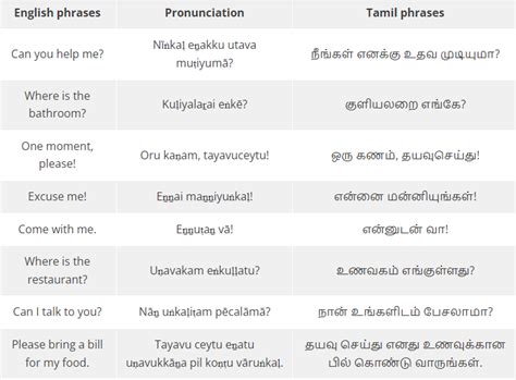 Common Tamil Phrases And Sentences
