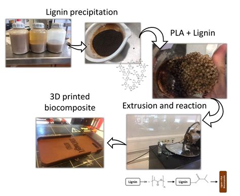Lignin A Biopolymer From Forestry Biomass For Biocomposites And 3d Printing