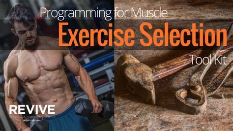 Programming For Muscle Exercise Selection Tool Kit Revive Stronger