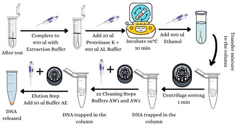 Making The Most Of Lateral Flow Immunochromatographic Tests An Efficient Protocol To Recover Dna