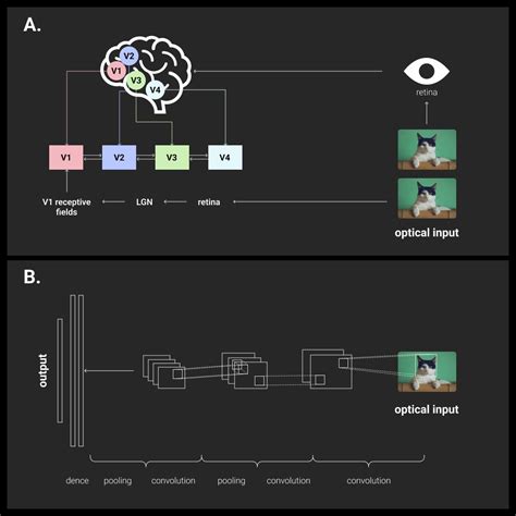 Karyna Naminas On Linkedin Ai Machinelearning Computervision