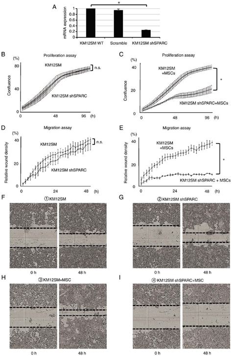 Expression Levels And Function Of Sparc In Crc A Gene Expression Download Scientific Diagram