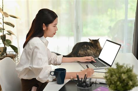 집에서 튜토리얼 강의 또는 온라인 공부를 하는 노트북 화면을 보고 있는 아시아 여학생의 측면 모습 25 29세에 대한 스톡 사진 및 기타 이미지 Istock