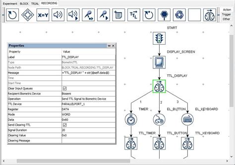 EEG And FNIRS Solutions Eye Tracking Research SR Research