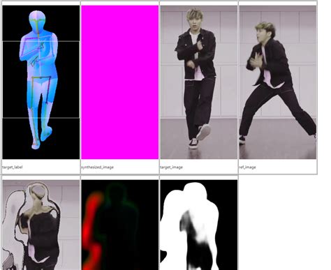 Pose Densepose Issue NVlabs Imaginaire GitHub