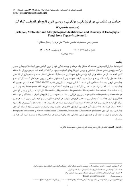 Pdf Isolation Molecular And Morphological Identification And