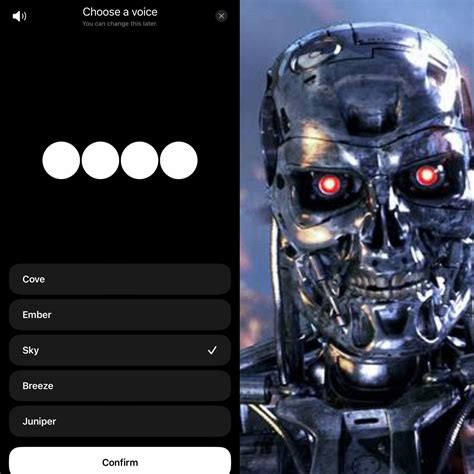 When You Realize Openais New Default Voice Is Called Sky Ropenai