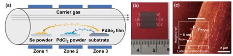 A Schematic Of Pdse Synthesis Process Using Cvd Method B