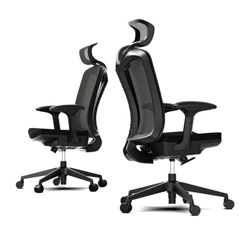 Best Ergonomic Office Chairs 2025 Pdf Khalid Wren