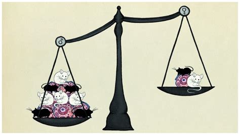 Nih To Balance Sex In Cell And Animal Studies Pmc