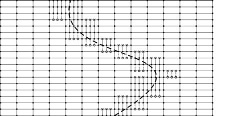 some result of the process of dynamic adapted mesh construction node