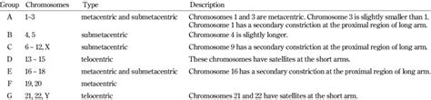 Classification Of Human Chromosomes Based On Morphology Using Giemsa Download Scientific