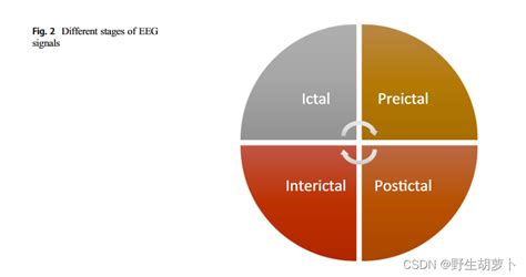 【论文翻译】eeg癫痫检测：概念、技术、挑战和未来趋势 eeg memd csdn博客