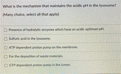 Solved Match The Cytoskeletal Element With The Correct Name