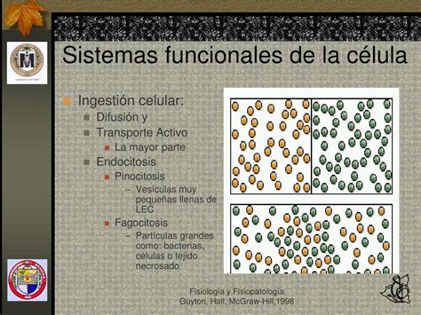 Ppt La Celula Y Su Funcion Powerpoint Presentation Free Download