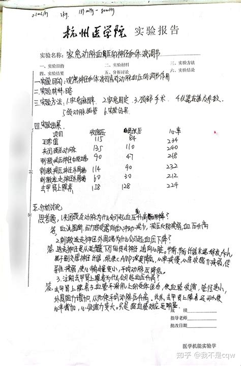 实验报告：家兔动脉血压的神经和体液调节（生理） 知乎