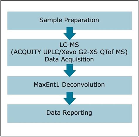Routine Lc Ms Analysis Of Intact Antibodies Waters