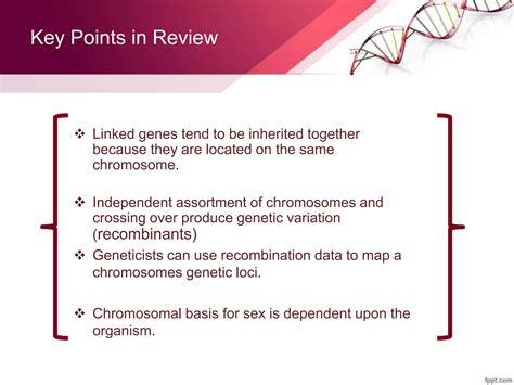 chromosomal basis of inheritance pptx genetics science