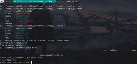 picoctf 2024 pwn format string 3 tct blogs