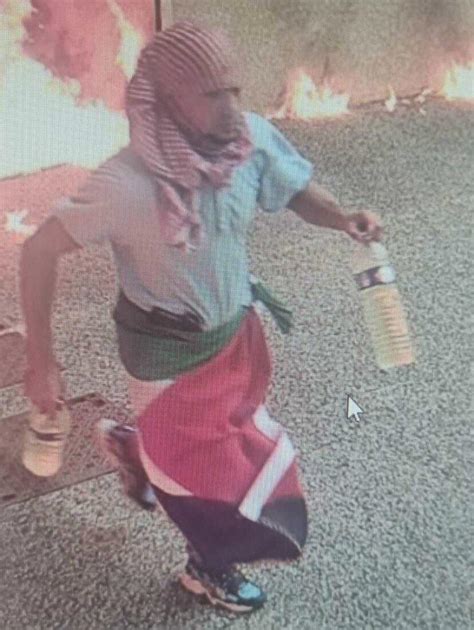 Теракт возле синагоги во Франции поджигатель с палестинским флагом и пистолетом