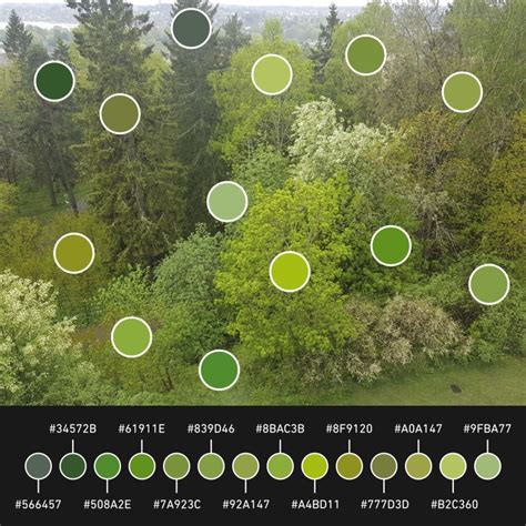 Visualize Your Science On Linkedin Visualizeyourscience Palette Color Scicomm Green