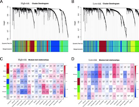 Wgcna And Module Analysis A The Result Of Wgcna In The High Risk Download Scientific Diagram