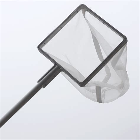 Sass5 Net Groundtruth