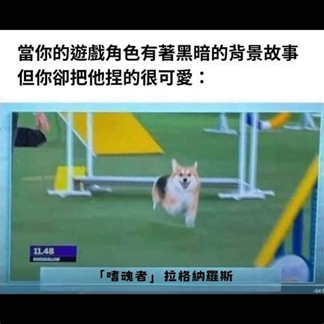 翻譯 營造反差萌 梗圖板 Dcard