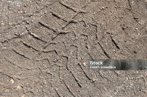 흙에 타이어 자국이 있습니다 오프로드 트랙 텍스처입니다 더러운 노면 자동차 휠 마크 지구 패턴 근접 촬영 0명에 대한 스톡 사진 및 기타 이미지 Istock
