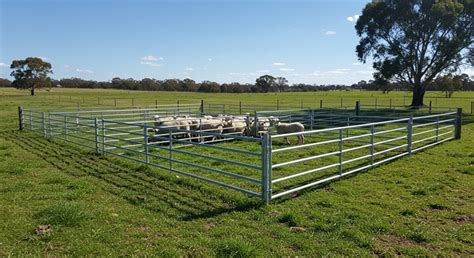 Durable 21m Heavy Duty Sheep Panels For Reliable Sheep Yards