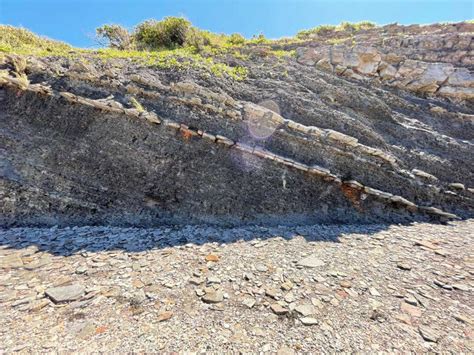 Unique Joggins Fossil Cliffs Reveal Earths Past ⋆ Middle Journey