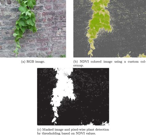 Example Of Multispectral Image Processing 89 Download Scientific