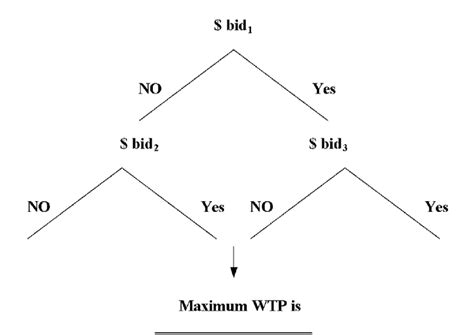 Dichotomous Choice Model With An Open Ended Elicitation Method