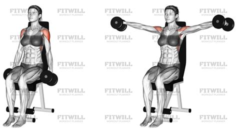 Dumbbell Seated Lateral Raise Exercise Guide Video Techniques