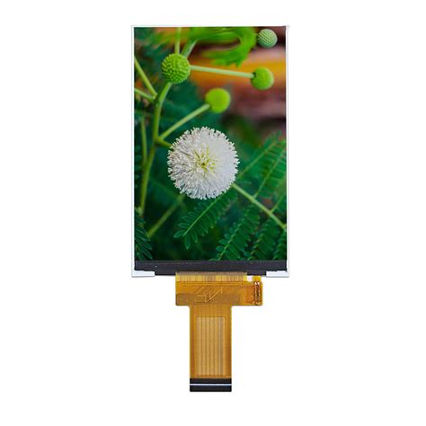 Factory Supply 397 Inch Tft Lcd Dipslay 480x800 St7701s Lcd Display Module Lcd Display And
