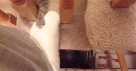 Every Time I Pretend Im Going To Jump Off The Gap Between My Stairs
