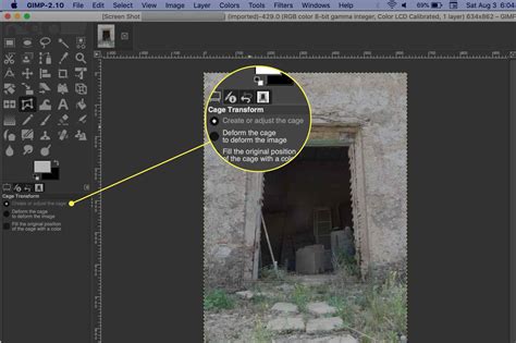 Learn How To Use The Cage Transform Tool In Gimp