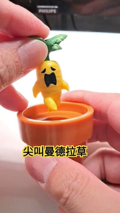 尖叫曼德拉草 Youtube