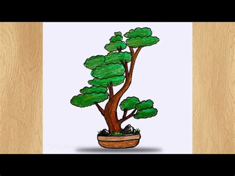 How To Draw A Bonsai Tree I Bonsai Tree Drawing Tutorial