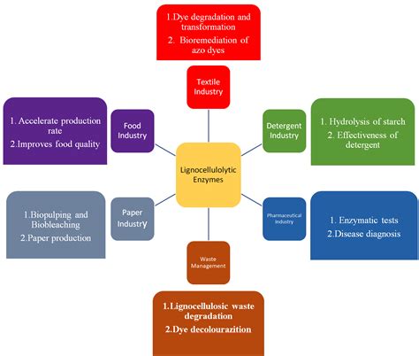 Lignocellulolytic Microbial Systems And Its Importance In Dye