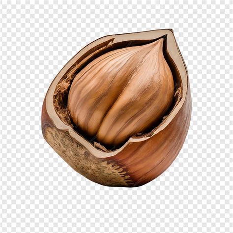 Свежий орех Png изолирован на прозрачном фоне премиум Psd Премиум Ai сгенерированный Psd