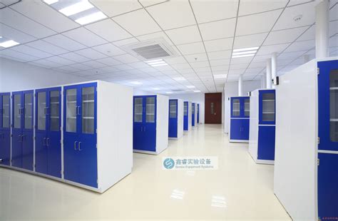 全钢药品柜的结构 上海鑫睿实验室系统工程供应商