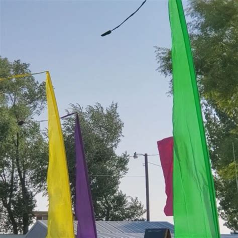 Solid Color Wind Dancer Flags Designs In Motion
